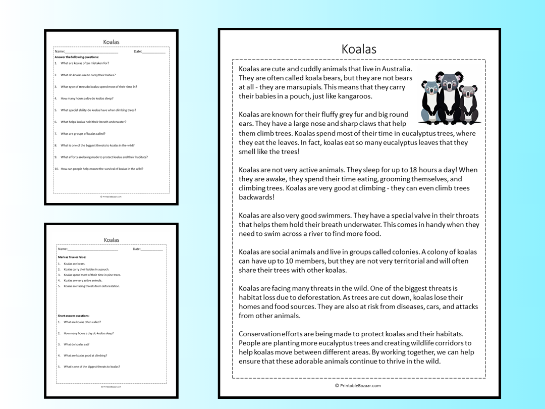 Koalas Reading Comprehension Passage Printable Worksheet | Teaching ...
