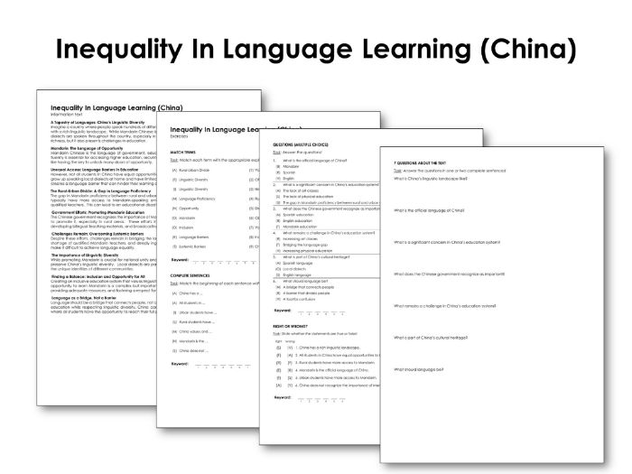 Inequality In Language Learning (China) | Teaching Resources