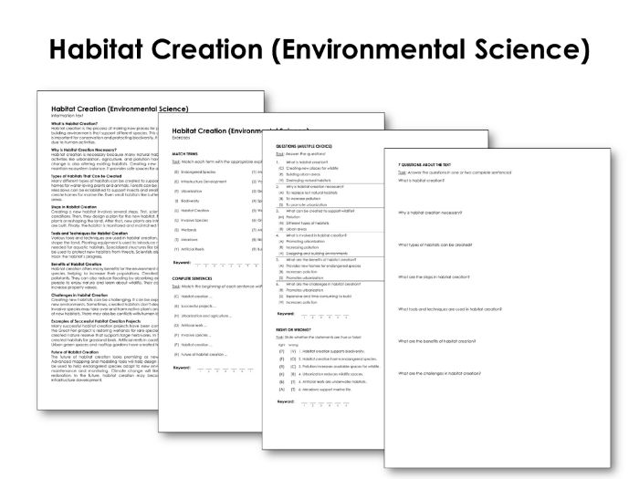 Habitat Creation (Environmental Science) | Teaching Resources