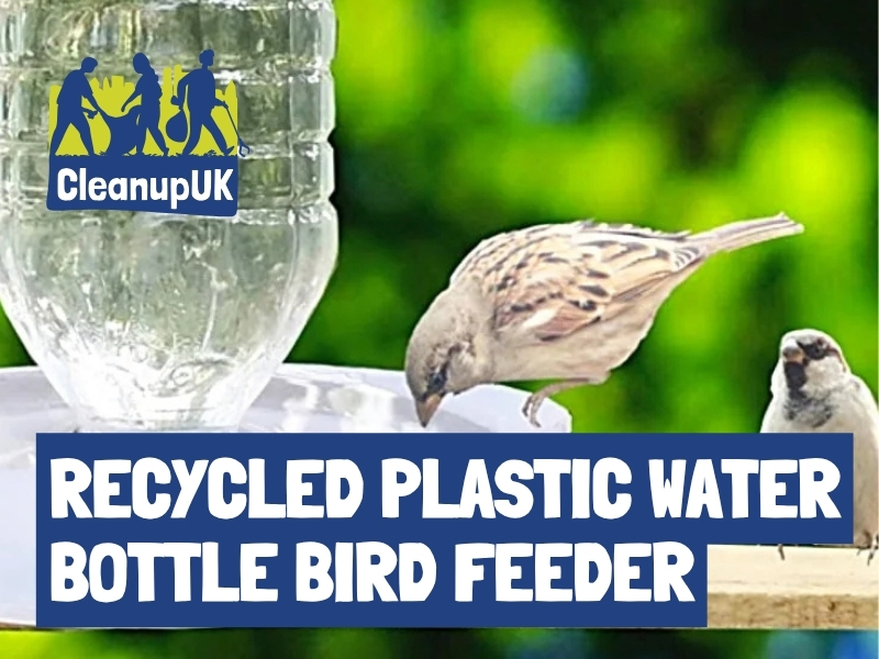 Make a Recycled Plastic Water Bottle Bird Feeder Activity Sheet ...