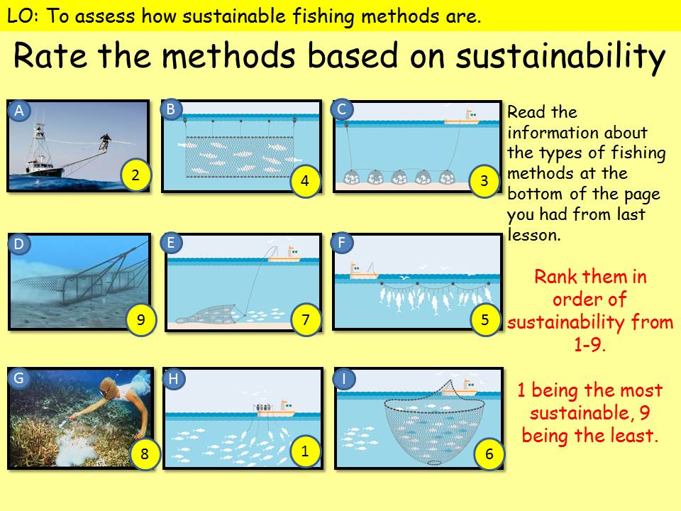 Ways Of Sustainable Fishing at Elizabeth Gunther blog