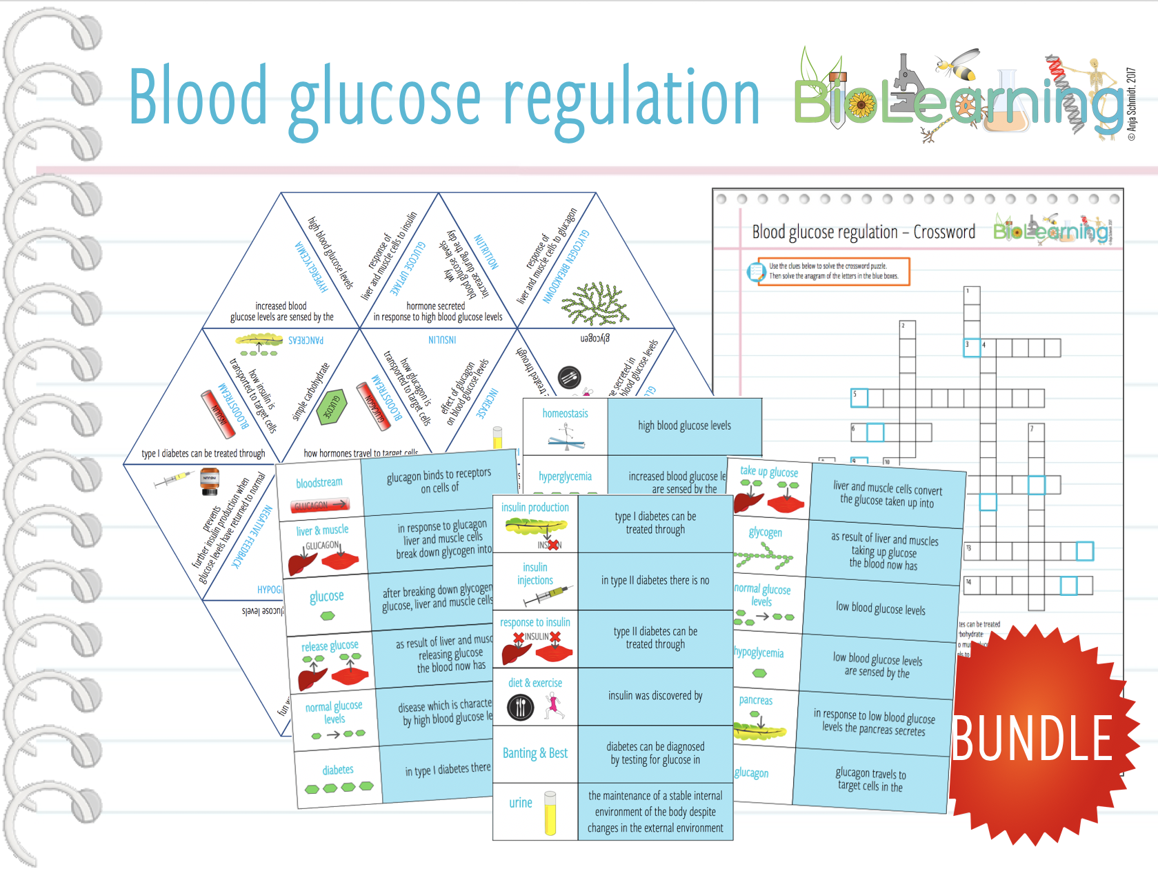 Blood glucose regulation - 3x Activities and Games (KS4) | Teaching ...