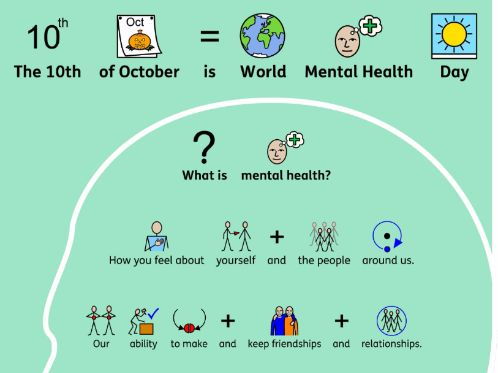 Widgit Software's Shop - Teaching Resources - TES