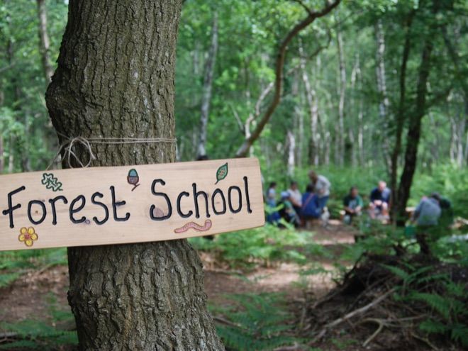 Forest School Portfolio | Teaching Resources