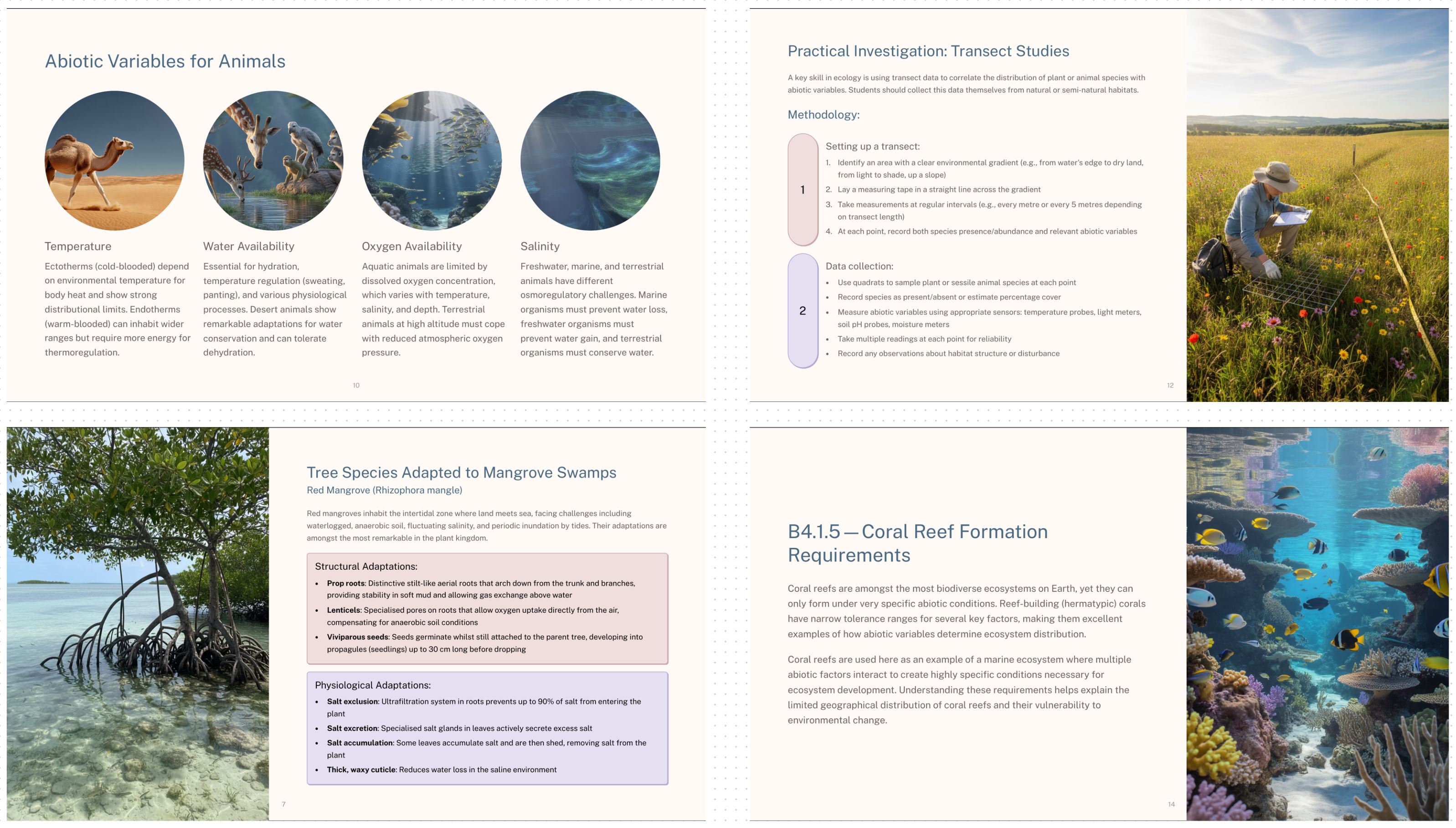 IB DP Biology B4.1 Adaptation Teaching Notes & PowerPoint 2026 ...