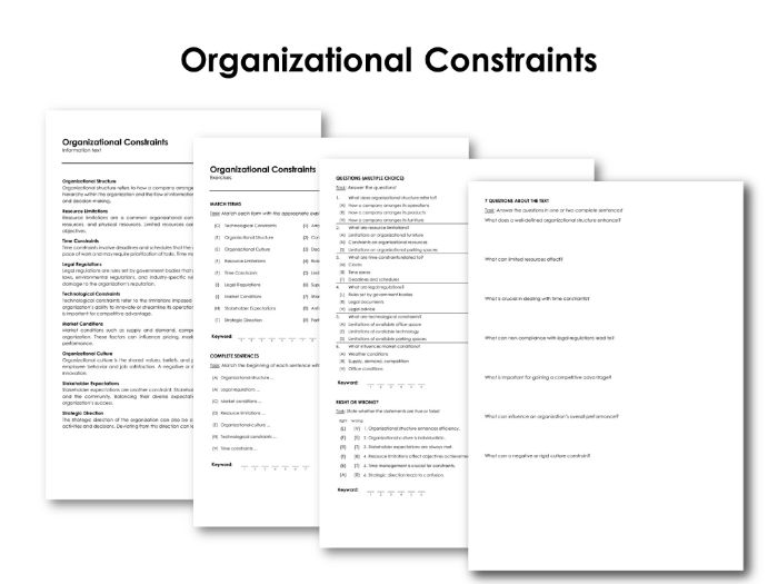 Organizational Constraints | Teaching Resources