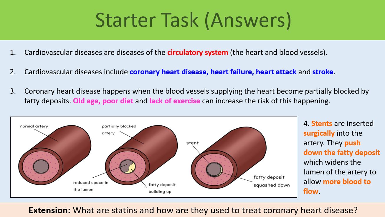 Risk Factors Lesson GCSE Biology | Teaching Resources