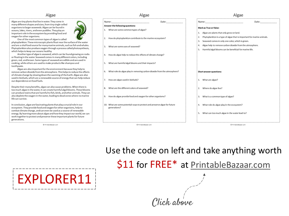 Algae Reading Comprehension Passage Printable Worksheet | Teaching ...