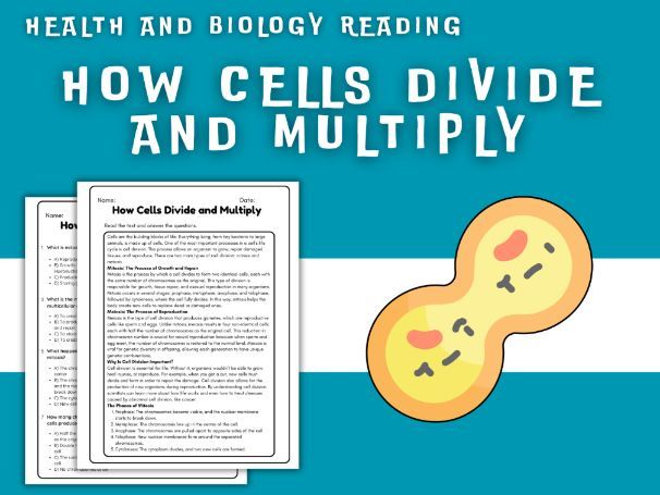 How Cells Divide and Multiply - Health Reading Worksheet | Teaching ...