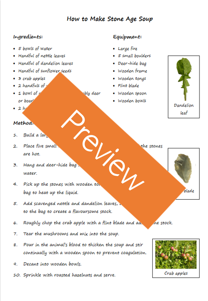Stone Age Boy 3 Example Instruction and Recipe Texts Plus Templates ...