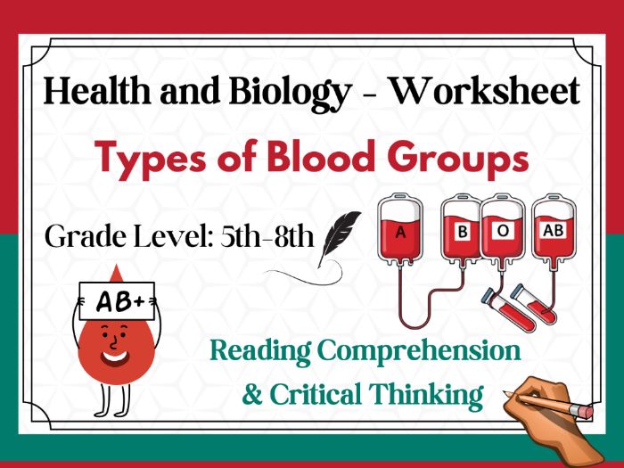 Types of Blood Groups: Reading Comprehension Passages & Questions ...