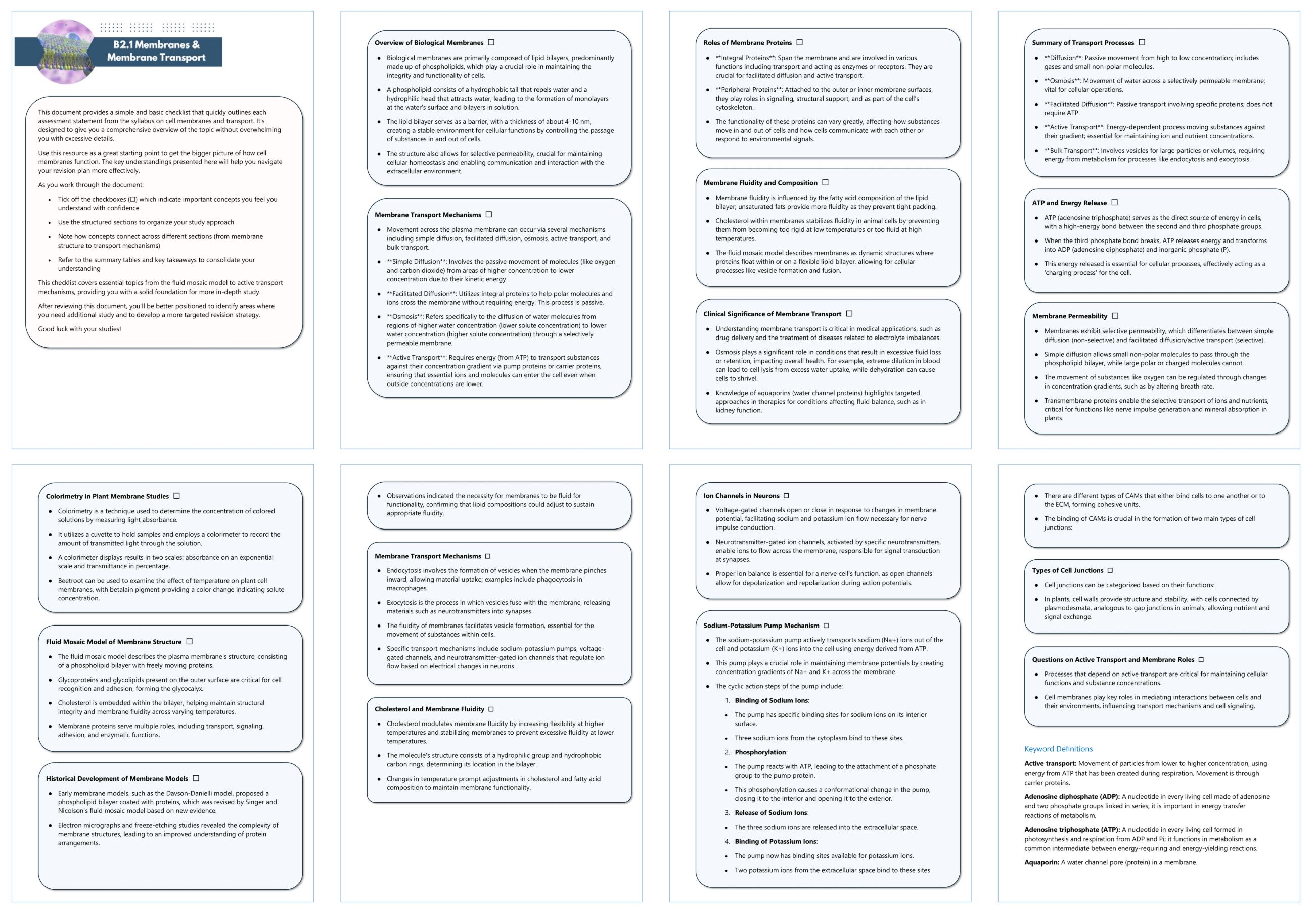 IB DP Biology B2.1 Membranes and Transport Condensed Topic Notes 2026 ...