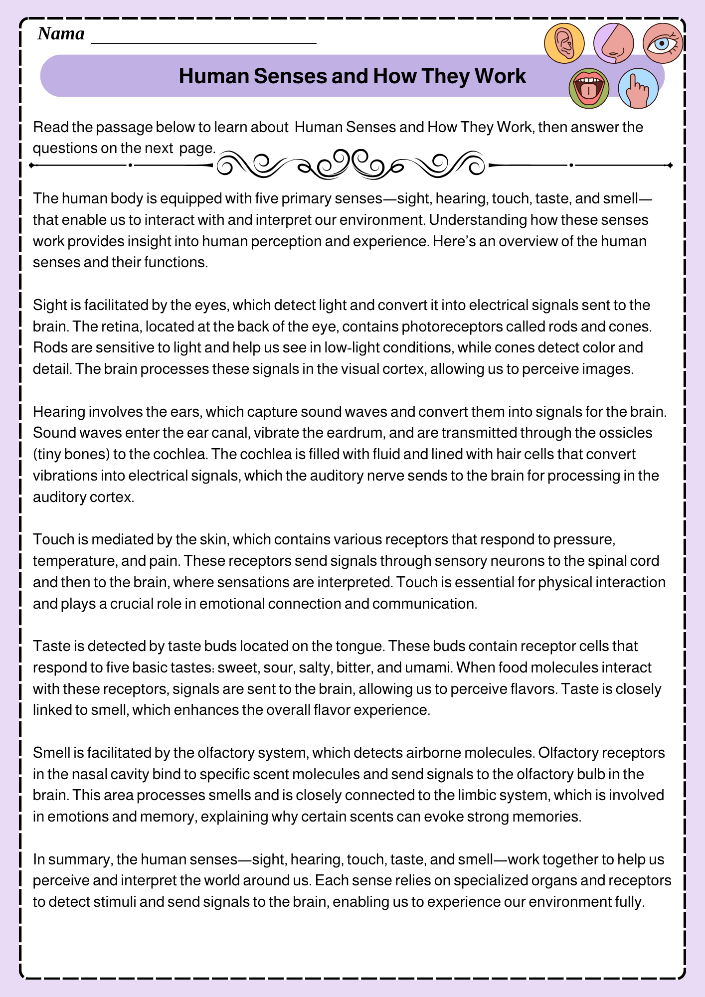 Human Senses and How They Work Reading Comprehension Passages ...