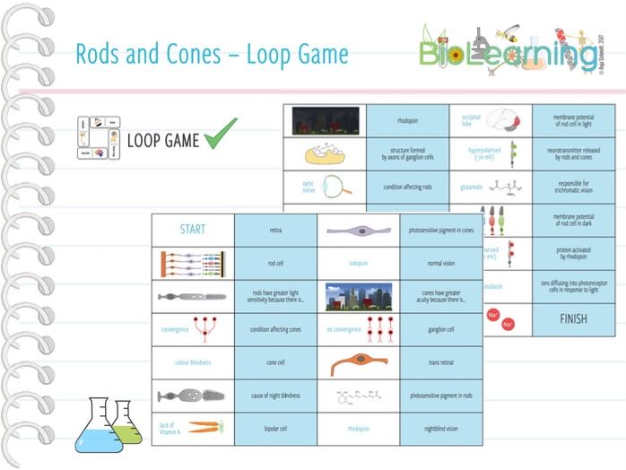 Rods and Cones - Loop Game (KS5) | Teaching Resources