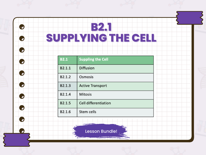 B2.1 Supplying the cell - OCR Gateway Biology A - GCSE | Teaching Resources