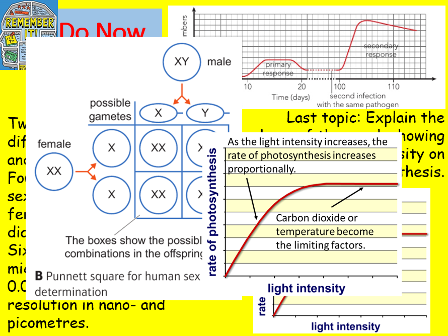 Edexcel CB7 SB7 Control of Blood Glucose Complete Lesson - GCSE Biology ...
