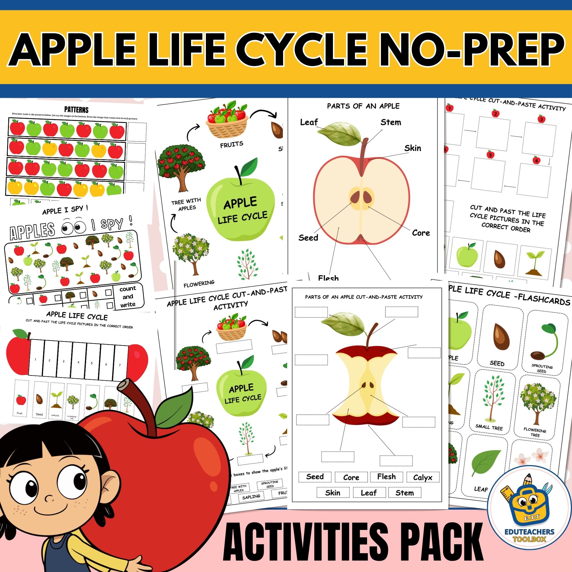 Apple Life Cycle NO-PREP Pack | Parts of an Apple, Flashcards ...