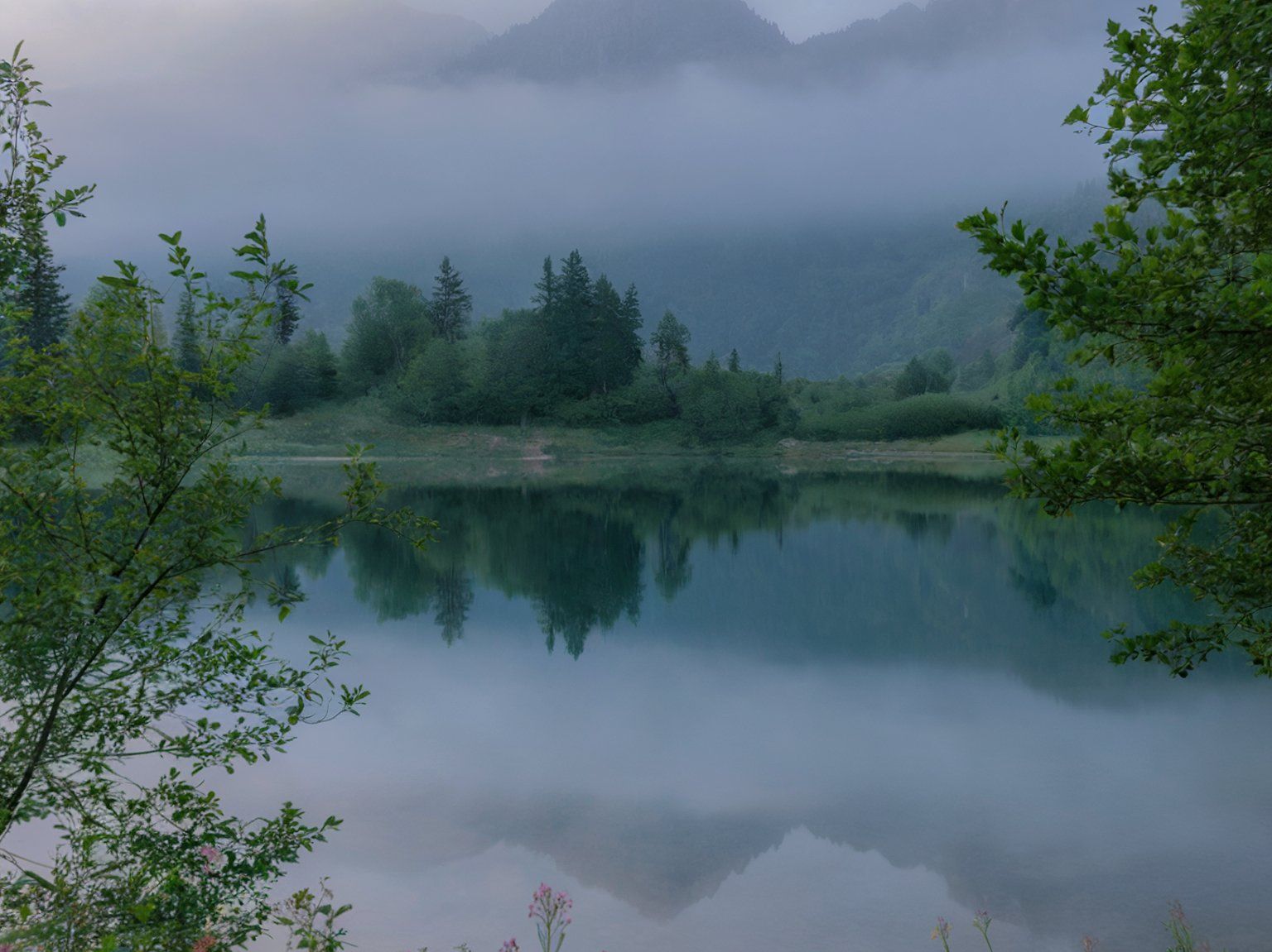 KS4 Year 10 - Ecosystems BUNDLE | Teaching Resources