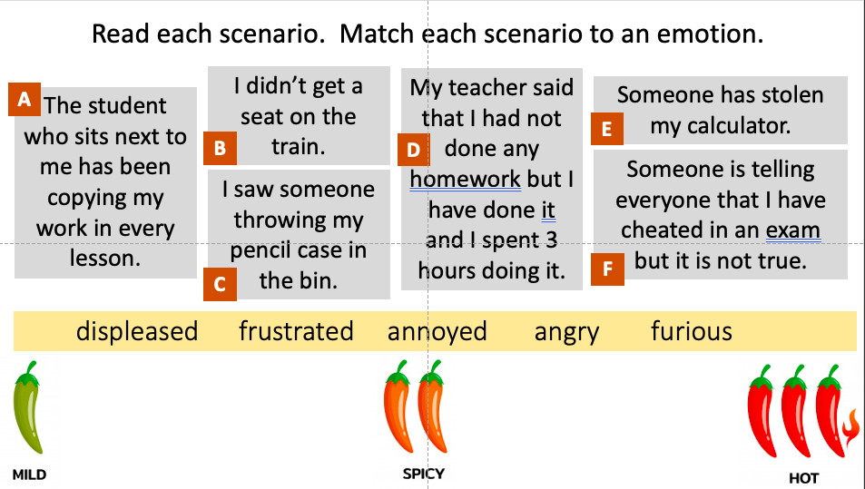 KS3 Mental Health PSHE lesson - one hour - emotional literacy ...