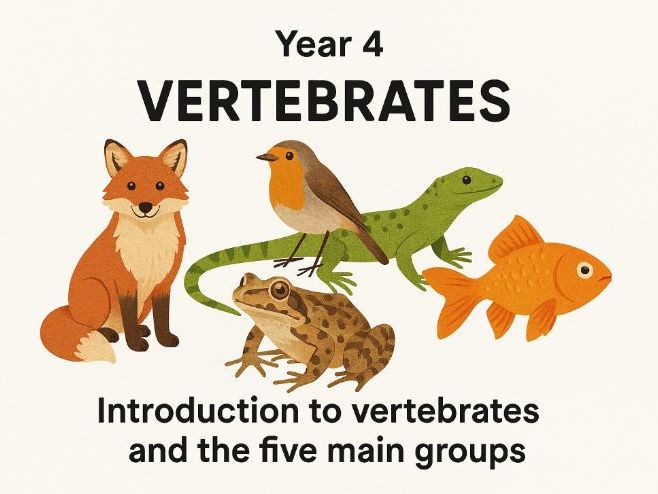 Vertebrates Lesson - Suitable for Years 3 - 5 | Teaching Resources
