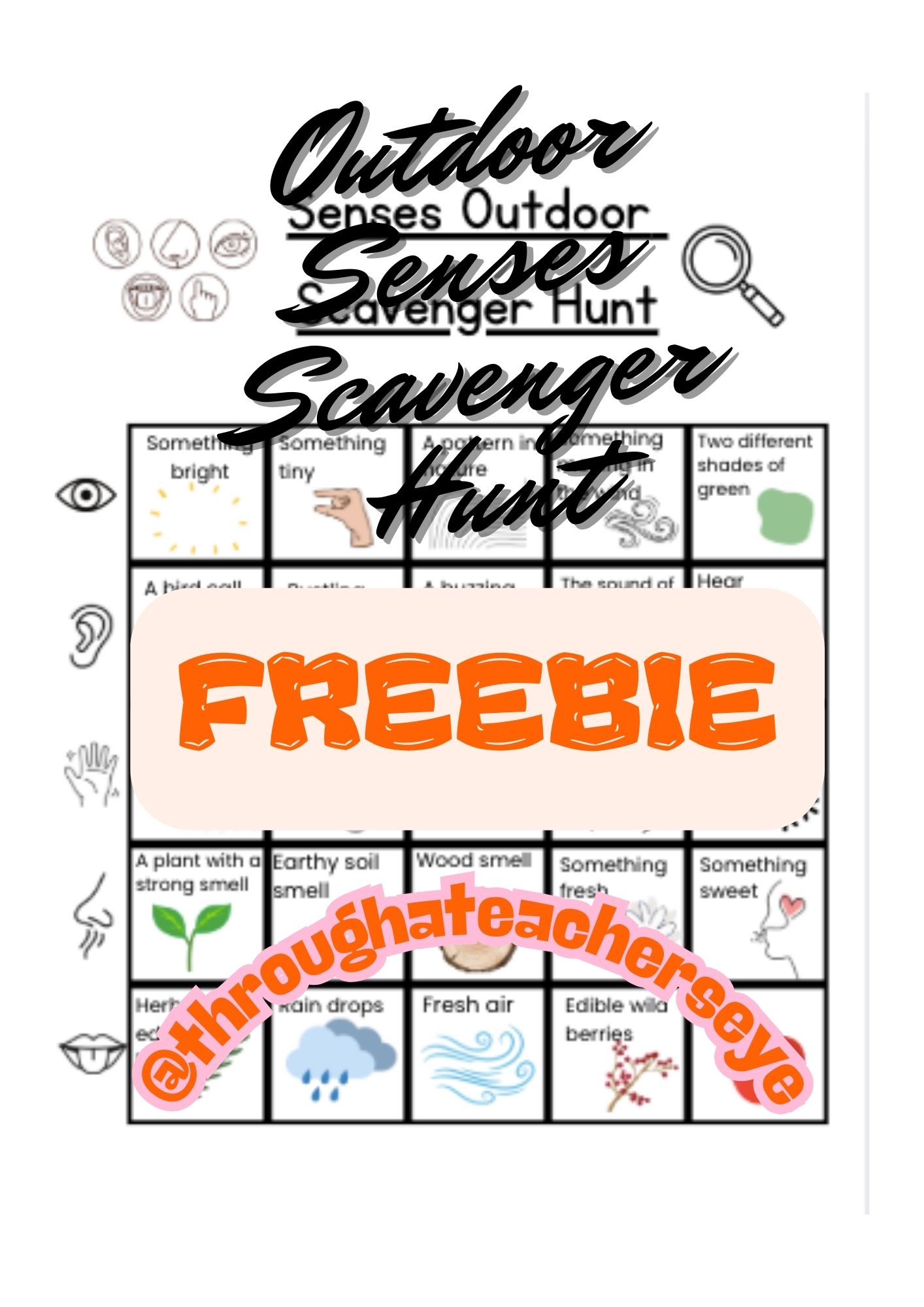Outdoor Senses Scavenger Hunt FREEBIE! | Teaching Resources