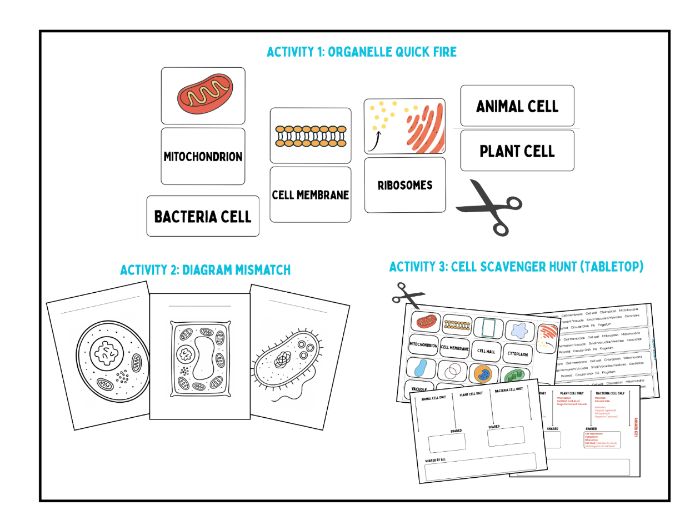 Starter Activities| Cells | Teaching Resources