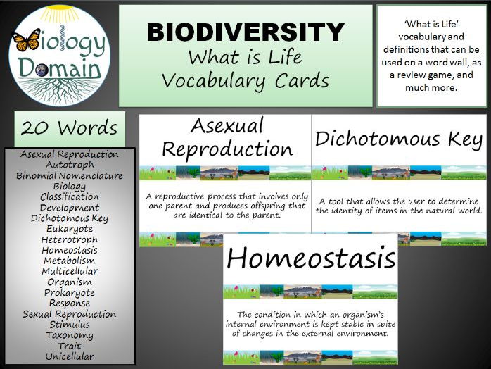 Life Science Biology Vocabulary Card Word Wall Bundle | Teaching Resources