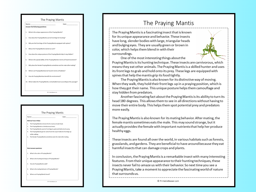 The Praying Mantis Reading Comprehension Passage Printable Worksheet ...