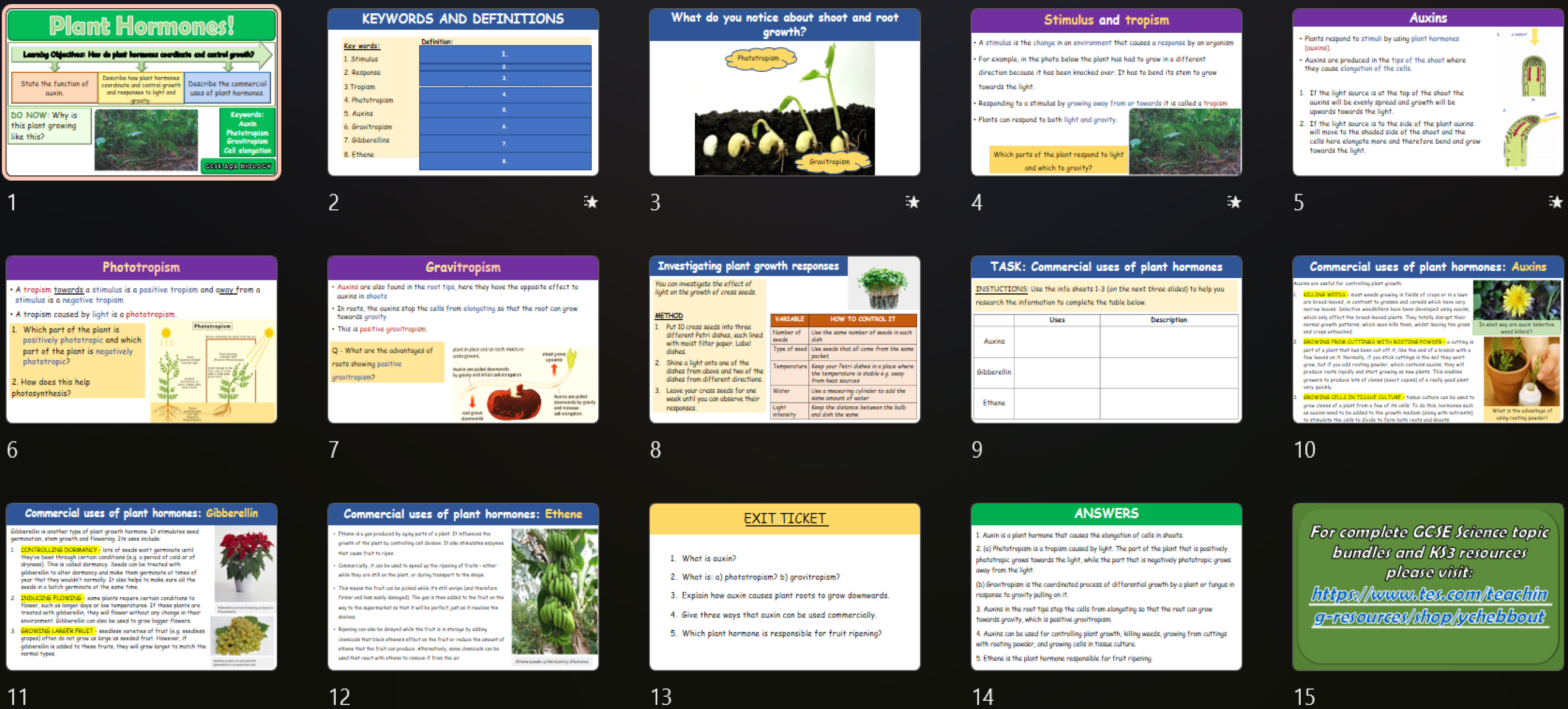 Plant Hormones AQA GCSE (9-1) Biology | Teaching Resources