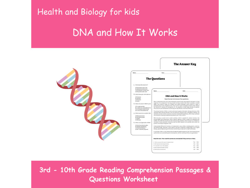 DNA and How It Works Reading Comprehension Passages & Questions ...