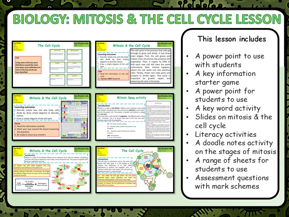 AQA GCSE Biology (Science) Mitosis & the Cell Cycle Lesson & Activities ...