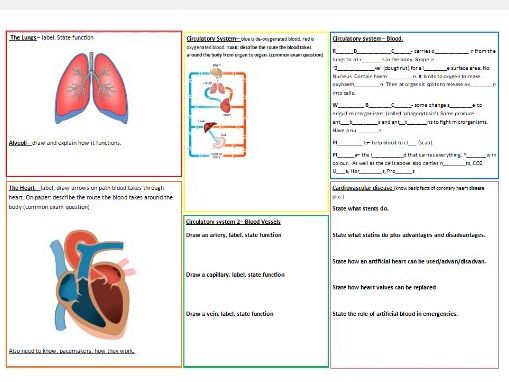 AQA foundation Organisation Crib revision sheet | Teaching Resources