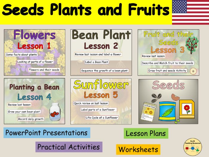 Primary Teaching Resources: Activities for KS1 and KS2 | Tes