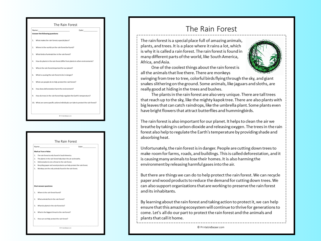 The Rain Forest Reading Comprehension Passage Printable Worksheet ...