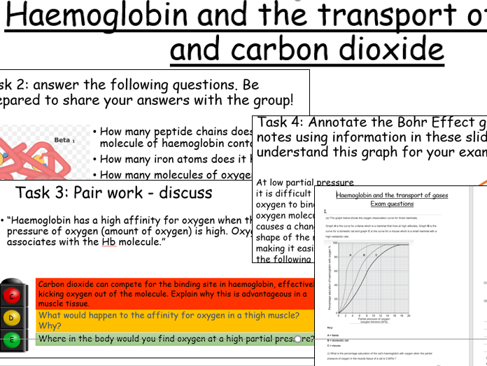 KS4 and KS5 Science Resources - Teaching Resources - TES