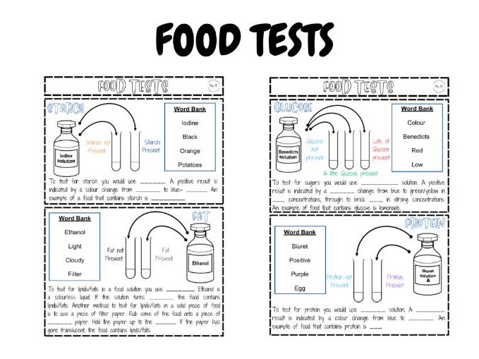 Food Tests Worksheet LA/SEND KS3/KS4 | Teaching Resources