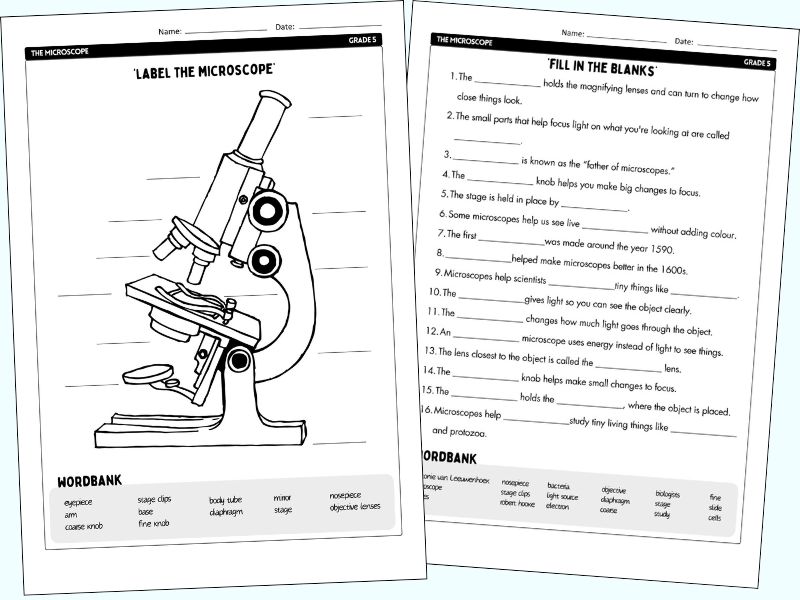 grade 5 intro to Microscope worksheets, vocabulary practice, labeling ...