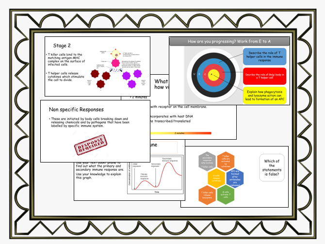 Immunity - Non Specific and Specific Responses to Infection | Teaching ...