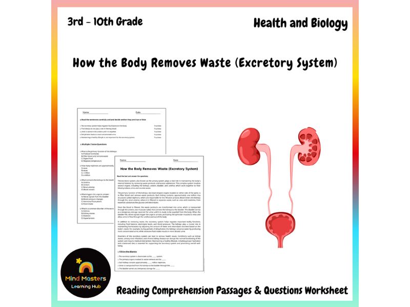 How the Body Removes Waste (Excretory System) Reading Comprehension ...