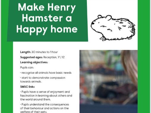 Make Henry Hamster a Happy Home interactive workshop | Teaching Resources