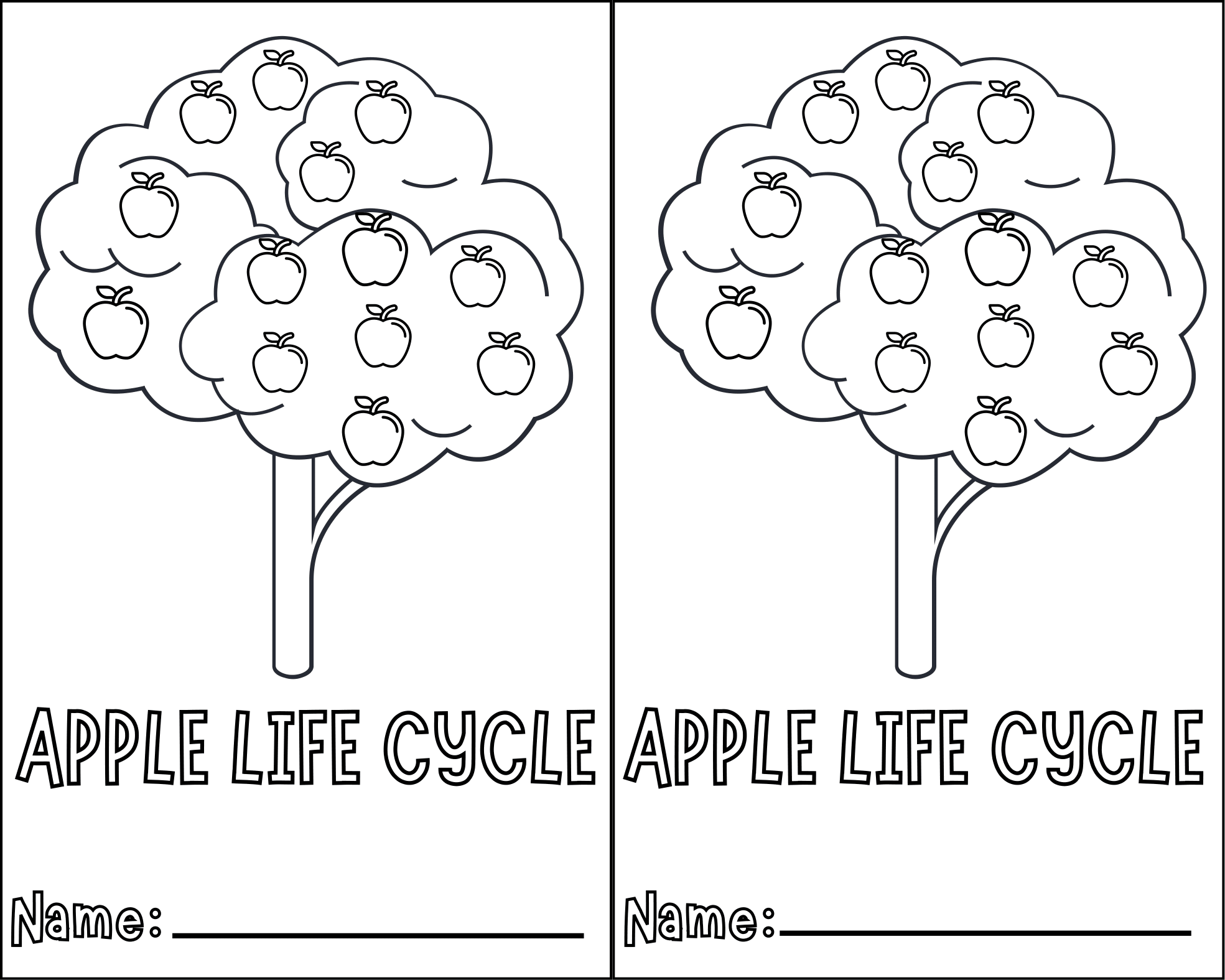 Apple Tree Life Cycle Emergent Reader for Kindergarten | Teaching Resources