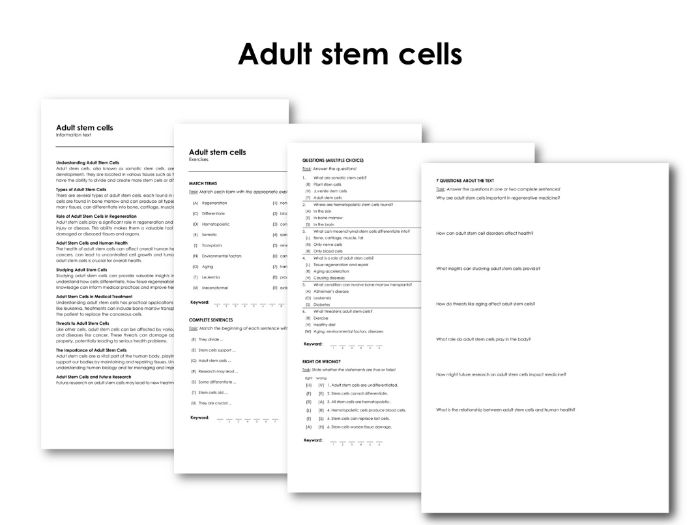 Adult stem cells | Teaching Resources