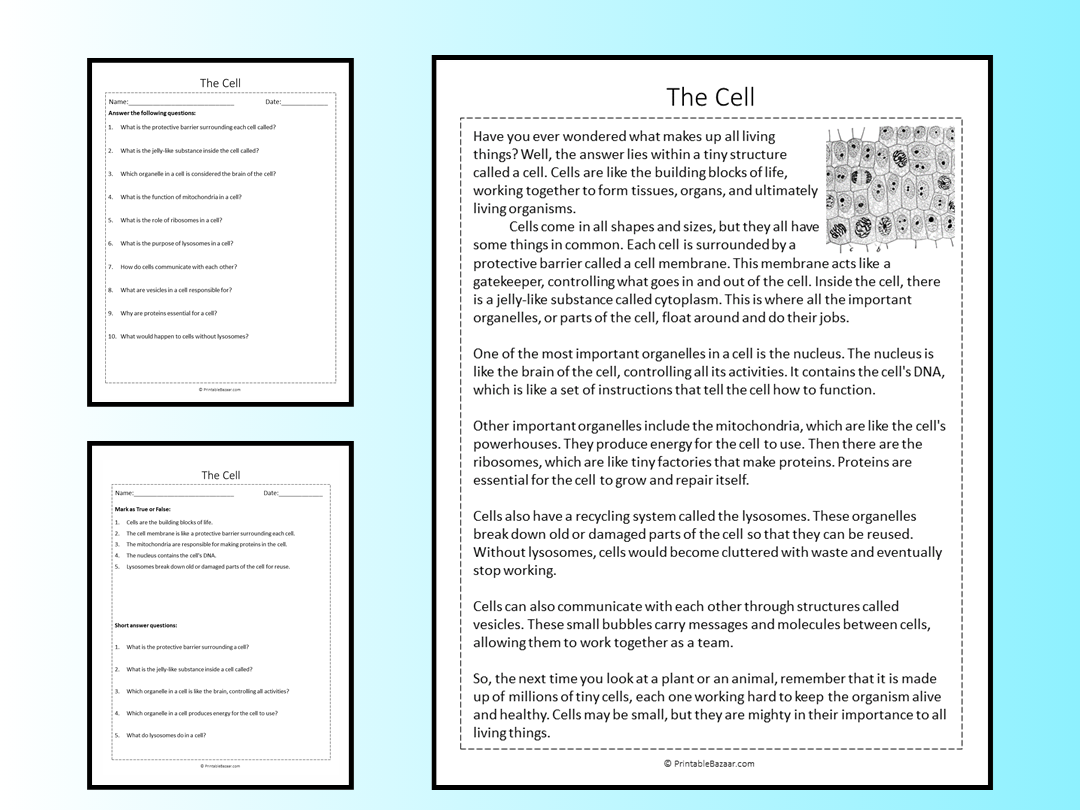 The Cell Reading Comprehension Passage Printable Worksheet | Teaching ...