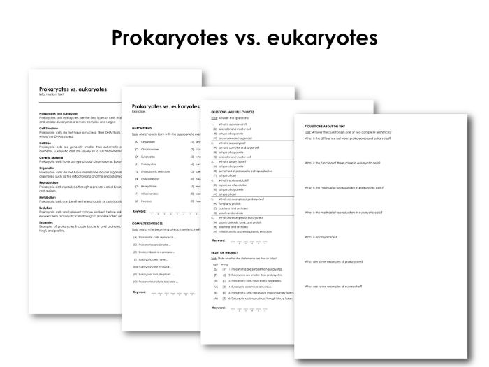 Prokaryotes vs. eukaryotes | Teaching Resources