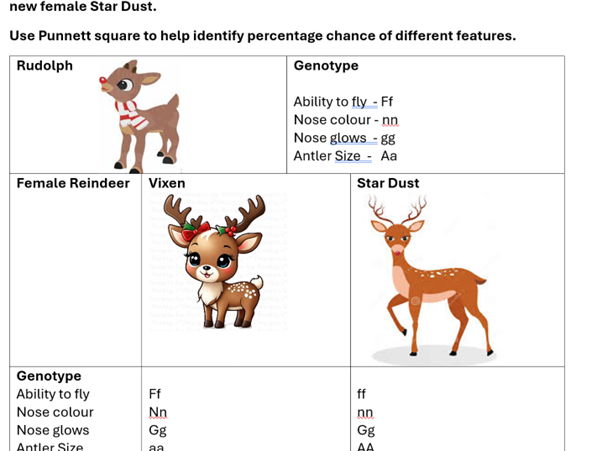 Christmas Genetics | Teaching Resources