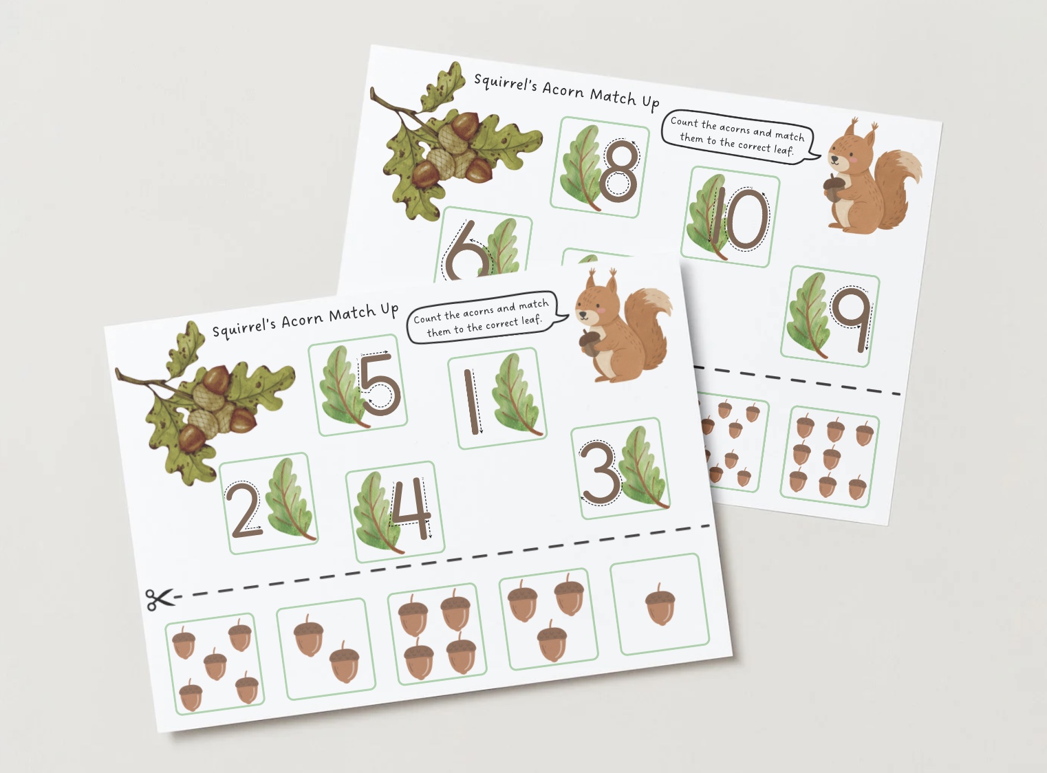 Maths - Squirrel's Acorn Match Up (Count & Match) | Teaching Resources