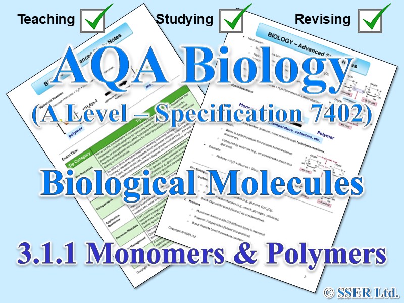 BIOA_AQA Topic Notes: 3.1.1 Monomers & Polymers | Teaching Resources