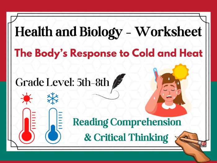 The Body’s Response to Cold and Heat: Reading Comprehension Passages ...
