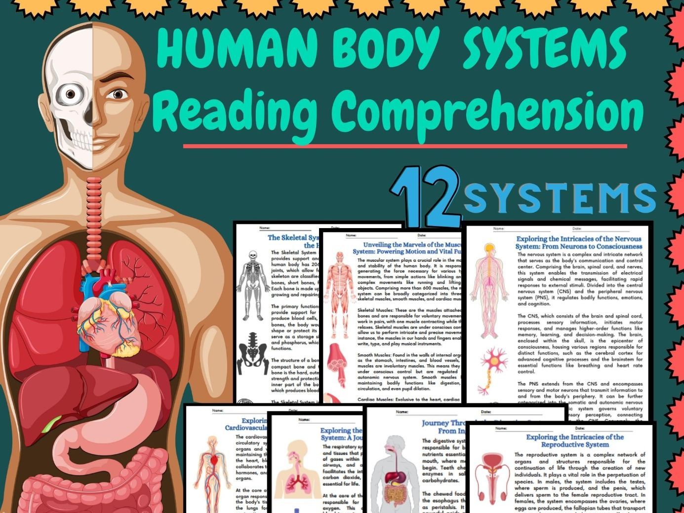Human Body Bundle | 12 Systems | Reading Comprehension Passages ...