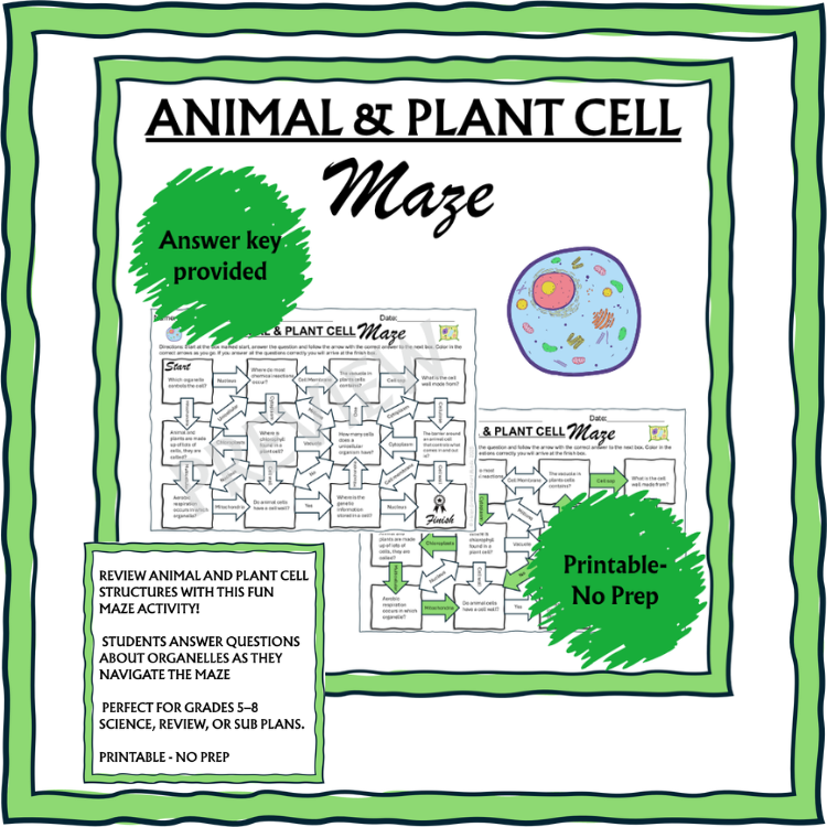 ANIMAL AND PLANT CELL MAZE ACTIVITY | CELL STRUCTURE REVIEW WORKSHEET ...